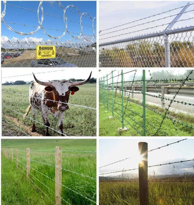 application of barbed wire