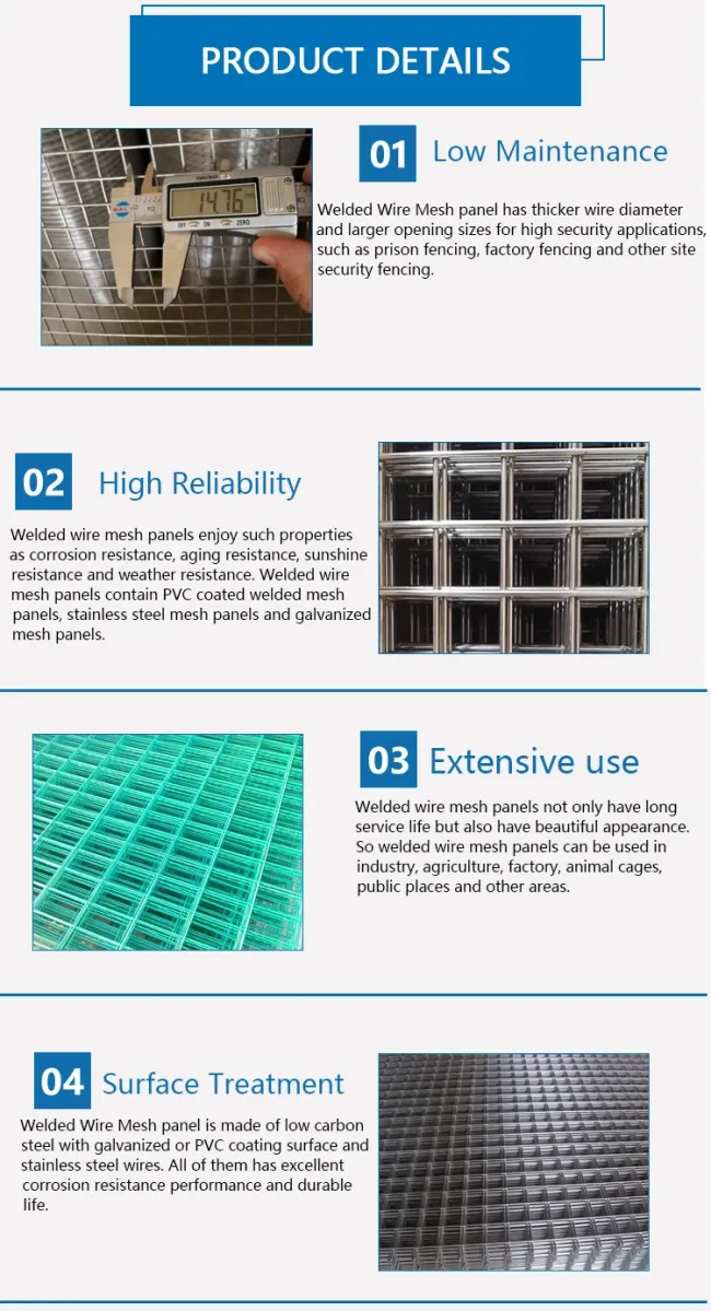 Customized Size Hot Galvanized Iron Roll Welded Wire Mesh for Farm