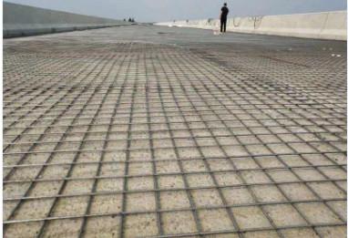 China Customized Size 12 Gauge Galvanized Welded Iron Wire Mesh For Reinforcing for sale