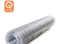 China Electro Welded Galvanized Bird Cage Welded Iron Wire Mesh Multifunctional for sale