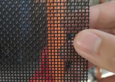 Cina Schermo Mesh Black Coated della mosca di acciaio inossidabile dell'OEM 316 in vendita