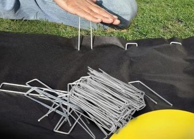 China Galvanized Landscape Staples U Shaped Lawn Turf Nail for sale