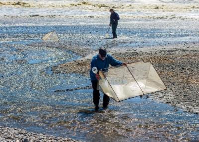 Китай 10 сеток х 10 сеток Сплавная сетка для ремонта сетей или изготовления экранов продается