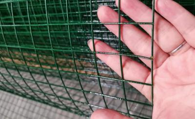 China Galvanised Welded Wire Mesh Panels in 6 8 10 12 Gauge for sale