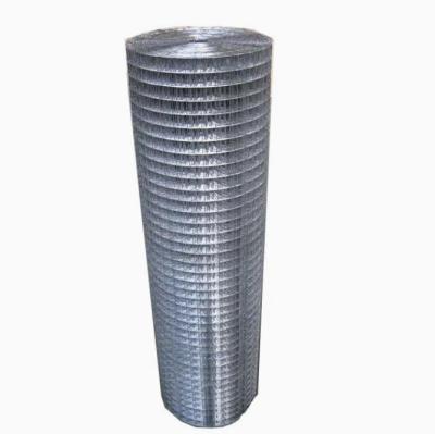 China Best Price Building Material Galvanized Welded Wire Mesh on Sale for sale