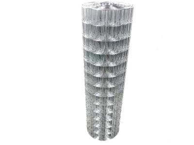 China Stainless Steel 304/316/Galvanized/PVC Coated Welded Wire Mesh for Building for sale