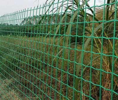 China Holland Wire Mesh Euro Wire Welded Mesh Black Wire Welded PVC Coated for sale