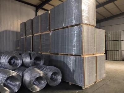 China Electro Galvanized Hot Dipped Galvanized Welded Wire Mesh Rolls Panels for Fencing for sale