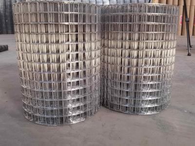 China Customized Hot Dipped Galvanized Steel Wire Mesh High-Durable Welded Wire Mesh for sale