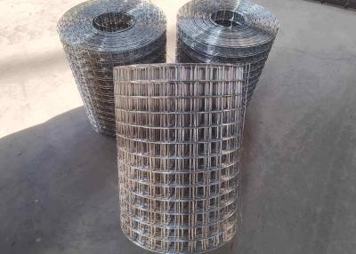 China 1/2 Inch Galvanized Welded Wire Mesh for Protection and Construction for sale
