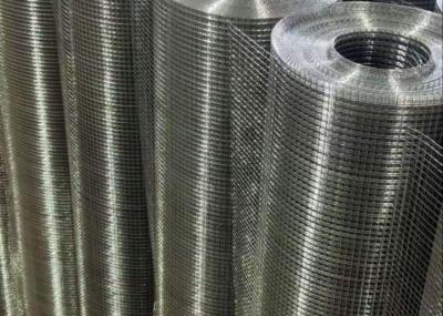 China High-Quality and Low-Priced Galvanized Welded Wire Mesh Coil for Chicken Coops in Breeding for sale