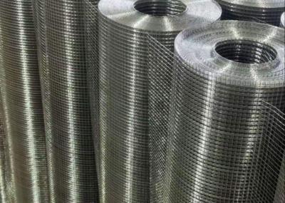 China Garden Landscaping Decorative Welded Wire Mesh Roll for Fencing for sale