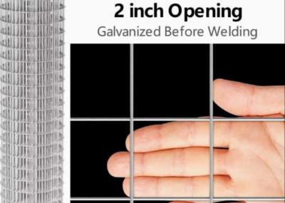 China Durable Welded Wire Mesh for Industrial and Commercial Use for sale