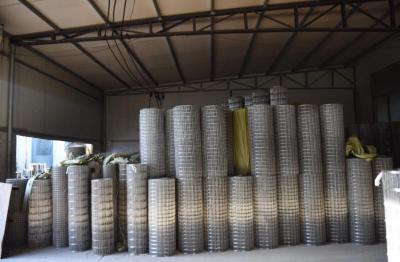 China Black Annealed Welded Wire Mesh Sheet 6