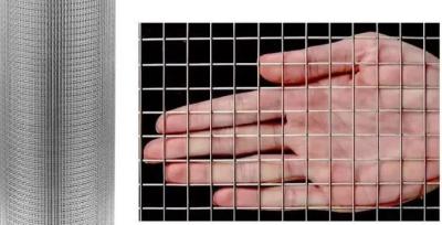 China Stainless Steel Welded Wire Mesh Panel and Rolls for sale