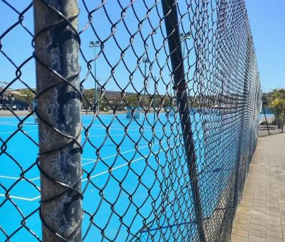 China 2.0-4.0mm Polyester Gabion Net Pet Ecological Gabion Net for sale