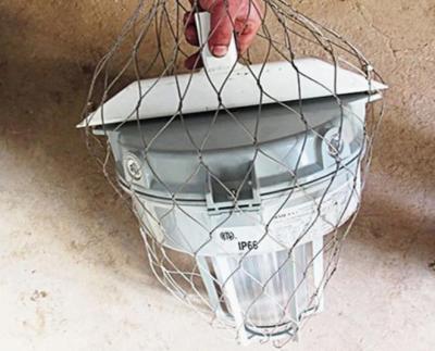 China Hot Sale Flexible Stainless Steel Rope Mesh Wire Rope Mesh/Zoo Wire Mesh for sale