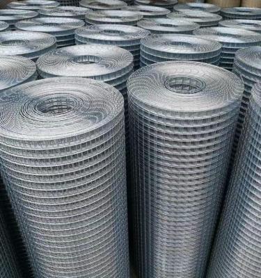 China Good Price Galvanized Welded Wire Mesh Rolls for Rabbit Bird Animal Pet Cages for sale