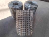 China Galvanized Welded Wire Mesh Roll - Ideal for Various Applications for sale