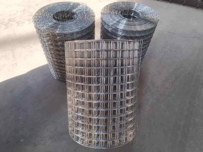 China Galvanized Welded Wire Mesh Roll - Ideal for Various Applications for sale