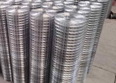 China Durable Welded Wire Mesh Rolls - Electro Galvanized for Maximum Strength for sale