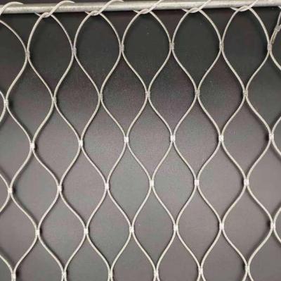 China 304 316 Stainless Steel Rope Mesh/Cable Mesh/Green Wall and Decorative Wire Mesh for Security for sale
