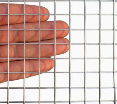 China Flat Surface Stainless Steel Wire Mesh Panels Welded Steel Mesh for sale