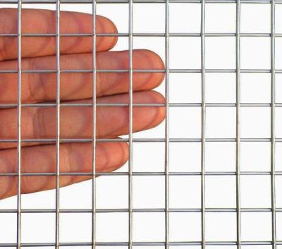 China Strong Tensile Strength Durable Rectangular Welded Wire Mesh Panel for Farm Fencing for sale