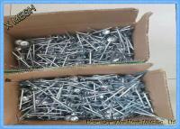 China Building Material Flat Head Iron Wire Wood Common Nails for sale