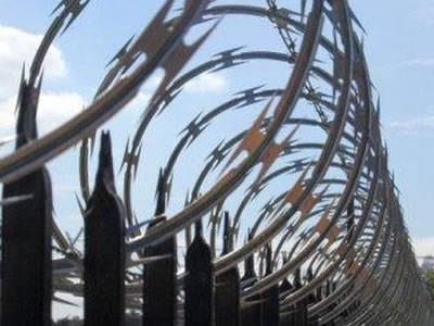 China PVC Stainless Steel Concertina Razor Barbed Wire Bto-16 18 22 60 Cbt-65 Fencing Wire Price for sale