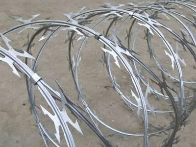 China PVC Stainless Steel Concertina Razor Barbed Wire Bto-16 18 22 60 Cbt-65 Fencing Wire Price for sale