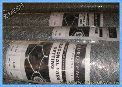 China Weaving Wire Netting with Hexagon Holes for Chicken Goose Hexagonal Wire Mesh for sale