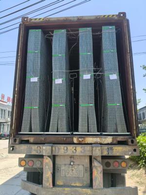 China Electro Galvanized 2*2 Welded Wire Mesh Panel 2m*1m for Construction for sale