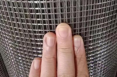 China 6 Gauge Welded Wire Mesh Fence Panels/Welded Wire Mesh Panel for sale