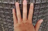 China Galvanized Welded Wire Mesh Panel 2.0 - 6.0mm Wire Diameter for sale