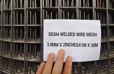China Galvanized Welded Metal Mesh Panel for Fence Panel for Construction for Bird Cage for sale
