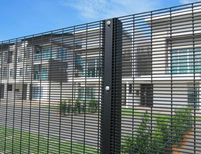 China 358 Security Fence High Security Anti Climb Welded Wire Mesh Fences Clear View Fencing Hot Dipped Galvanized Powder Coated Fence for Prison Airport Perimeter for sale