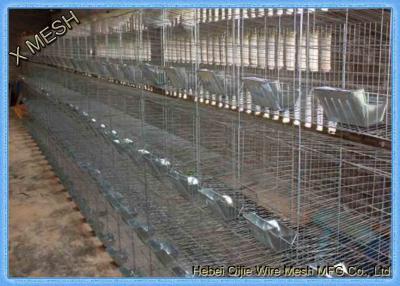 China Welded Wire Mesh Fencing Panels Rabbit Battery Cage 3 Or 4 Layers for sale