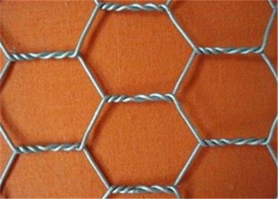 China 20 Ga Chicken Stainless Steel Woven Wire Mesh Poultry Mesh Hexagon Hole 3/4