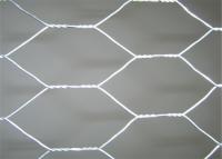 China Poultry Netting Chicken Wire Mesh , Plain Weave Galvanized Hexagonal Wire Mesh for sale