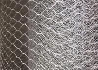 China Galvanized Hexagonal Chicken Wire Mesh 0.4mm-2.1mm Wire Diameter with PVC Coating Options for sale