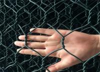 China Galvanized Hexagonal Chicken Wire Mesh 0.4mm-2.1mm Wire Diameter with PVC Coating Options for sale