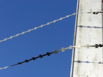 China Razor Cbt-65 Barbed Wire Concertina Coil Tape Galvanised for sale