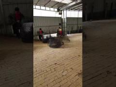 O preto recoze a cesta de fio da bola de raiz para árvores ou planta transportes de Rootball