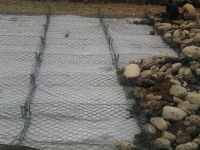 Cina Il PVC ha ricoperto il cavo esagonale 100x120 ha galvanizzato la scatola del gabbione in vendita