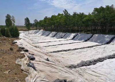 Cina Anticorrosivo 3.05mm Mesh Retaining Wall ricoperto zinco in vendita