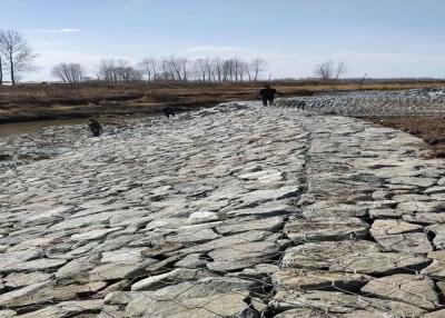 Cina Pietra esagonale Reno Mattress Gabion del cavo ISO9001 in vendita