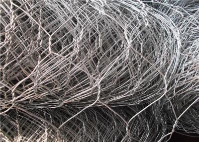 Cina Roccia che rompe il canestro della parete galvanizzato doppio cavo in vendita