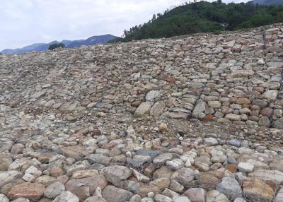 Cina maglia del reticolato del PVC di 80*120mm per protezione della carreggiata in vendita