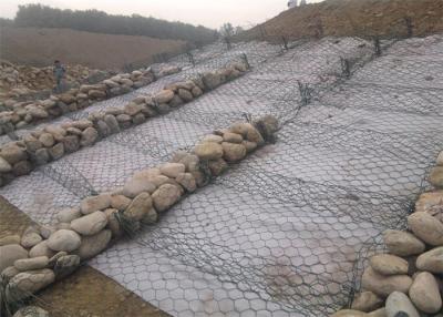 Cina Il PVC esagonale inossidabile ISO9001 ha ricoperto la rete metallica in vendita